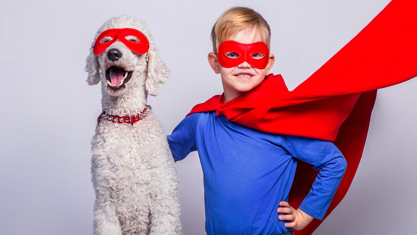 ddjhd.com WHOIS查询 - whois.namesilo.com | 全民博客：域名WHOIS查询工具